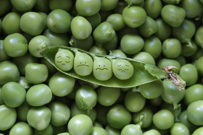 O BLOG | Por Karol Pinheiro e Maqui Nóbrega » Arquivos » Ninguém gosta ...